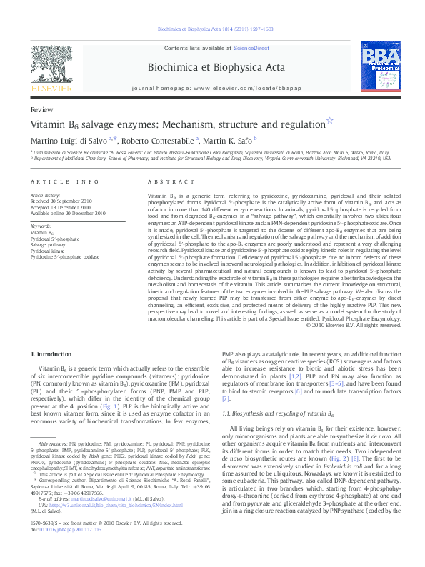 (PDF) Vitamin B6 salvage enzymes: Mechanism, structure and regulation