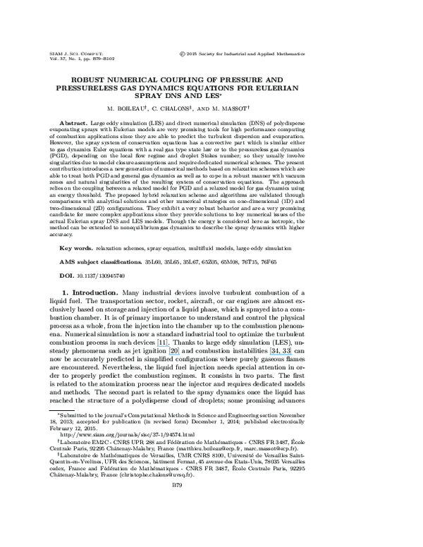 (PDF) Robust Numerical Coupling of Pressure and Pressureless Gas Dynamics Equations for Eulerian ...
