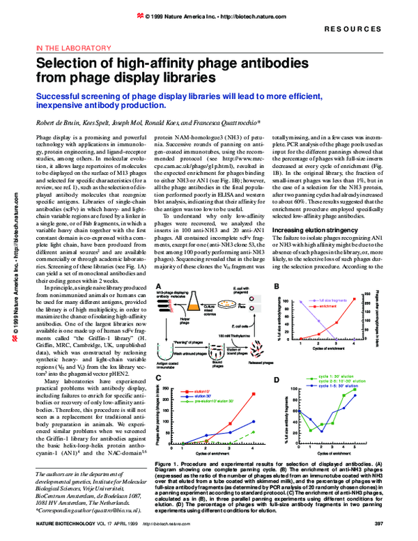 (PDF) Selection of high-affinity phage antibodies from phage display libraries