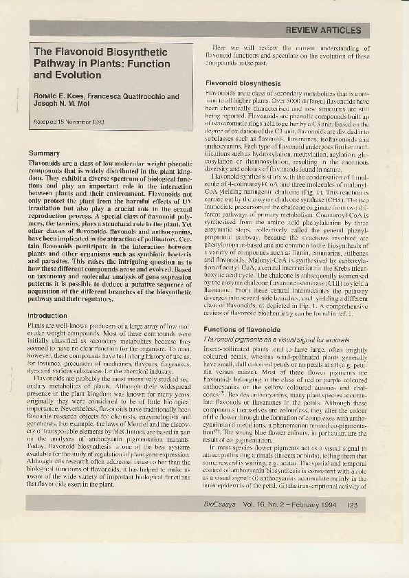 (PDF) The flavonoid biosynthetic pathway in plants: Function and evolution