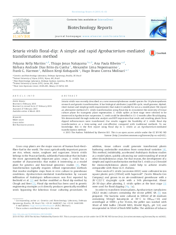 (PDF) Setaria viridis floral-dip: A simple and rapid Agrobacterium ...