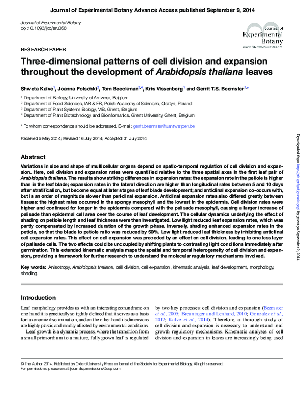 (PDF) Three-dimensional patterns of cell division and expansion ...