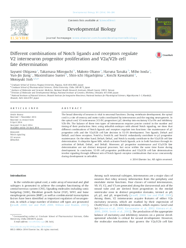 (PDF) Different combinations of Notch ligands and receptors regulate V2 ...