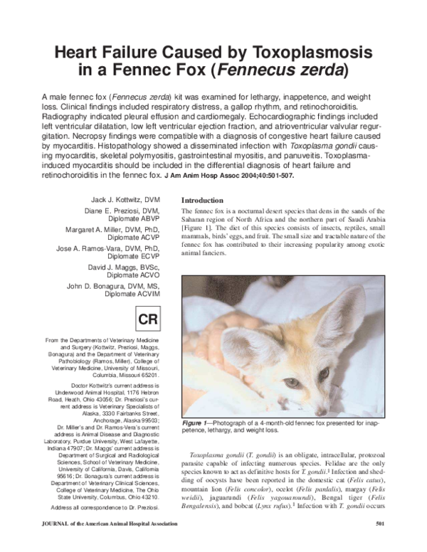(PDF) Heart failure caused by toxoplasmosis in a fennec fox (Fennecus ...
