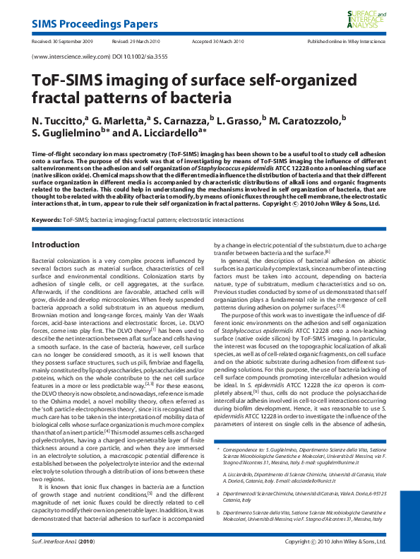 (PDF) ToF-SIMS imaging of surface self-organized fractal patterns of ...