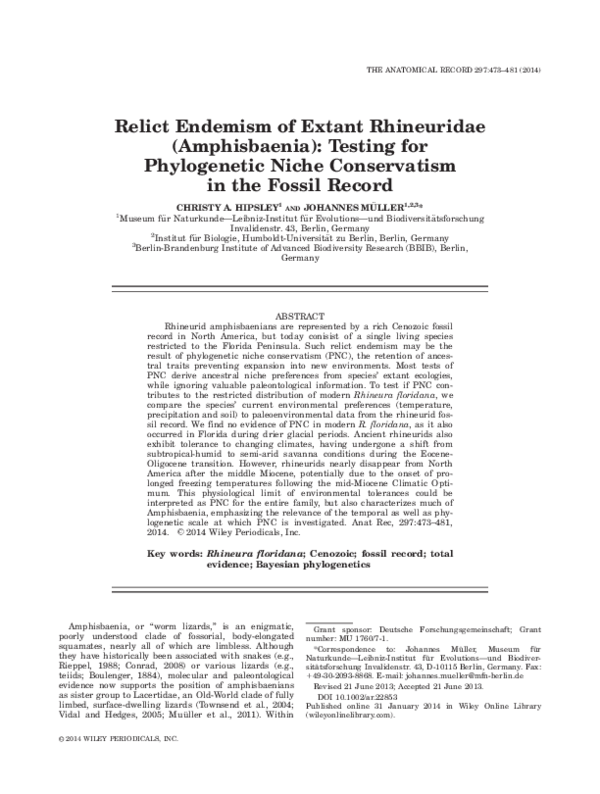 (PDF) Relict endemism of extant Rhineuridae (Amphisbaenia): testing for ...