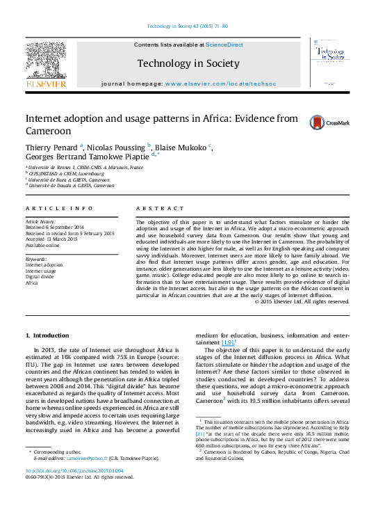 (PDF) Internet adoption and usage patterns in Africa: Evidence from Cameroon