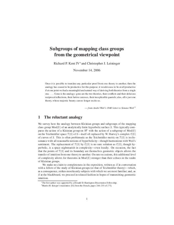 (PDF) Subgroups of mapping class groups from the geometrical viewpoint