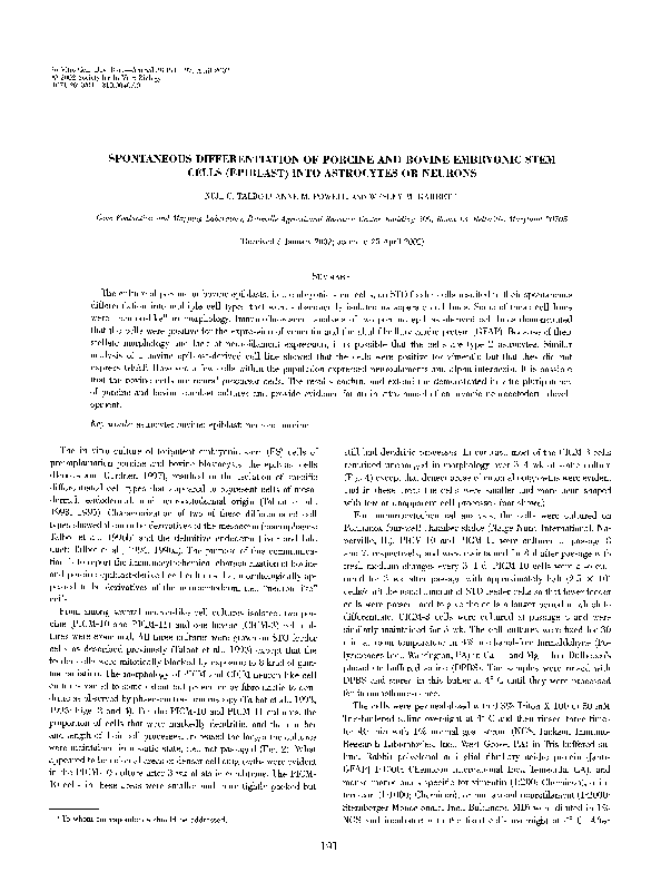 (PDF) Spontaneous Differentiation of Porcine and Bovine Embryonic Stem ...
