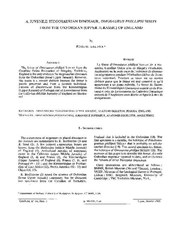 (PDF) A juvenile stegosaurian dinosaur, Omosaurus phillipsi Seeley from ...