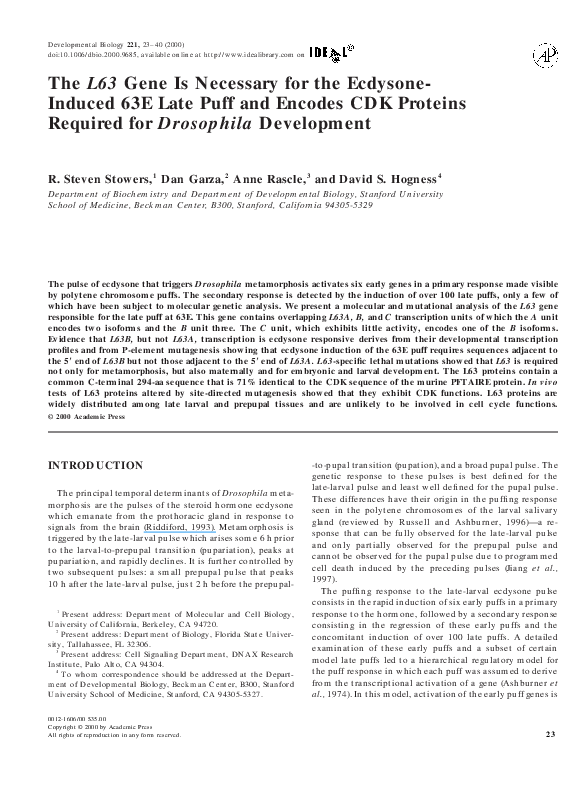 (PDF) The L63 Gene Is Necessary for the Ecdysone-Induced 63E Late Puff ...