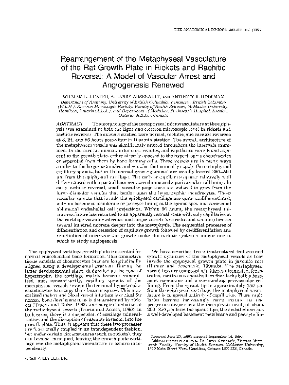 (PDF) Rearrangement of the metaphyseal vasculature of the rat growth ...