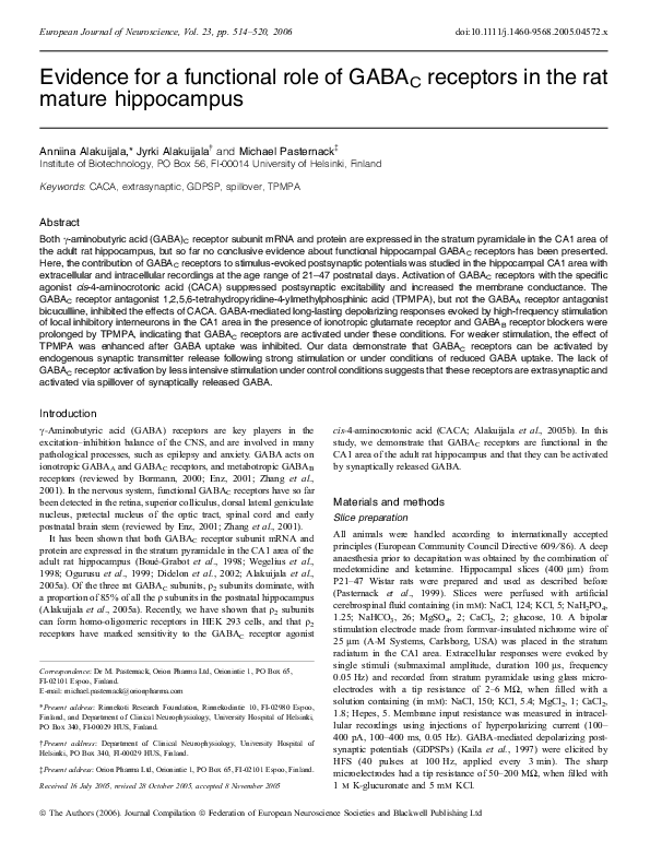 (PDF) Evidence for a functional role of GABAC receptors in the rat ...