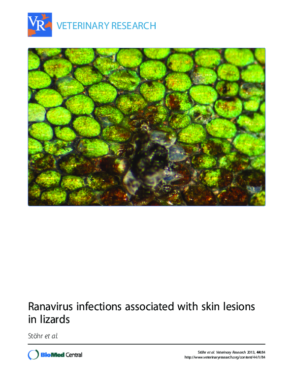 (PDF) Ranavirus infections associated with skin lesions in lizards