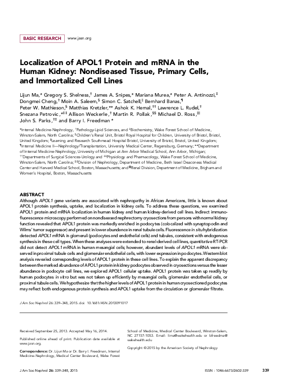 (PDF) Localization of APOL1 Protein and mRNA in the Human Kidney ...