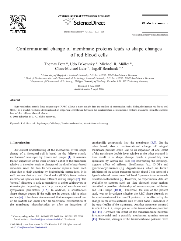 (PDF) Conformational change of membrane proteins leads to shape changes ...