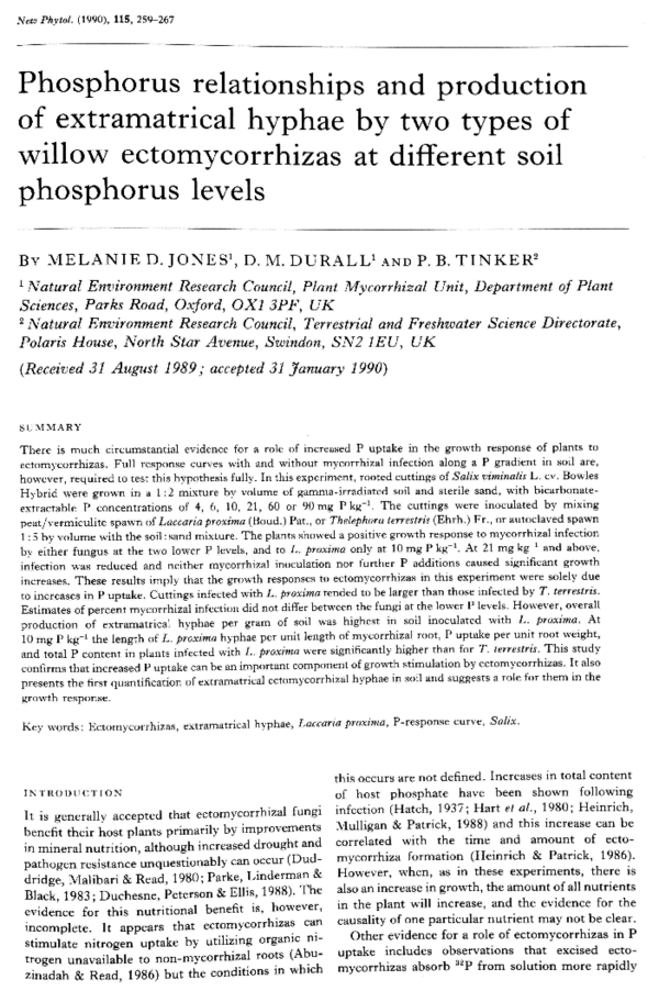 (PDF) Phosphorus relationships and production of extrametrical hyphae ...
