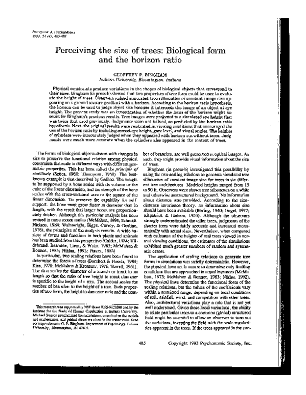 (PDF) Perceiving the size of trees: Biological form and the horizon ratio