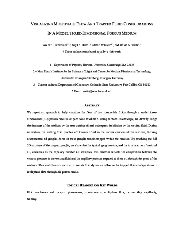 (PDF) Visualizing multiphase flow and trapped fluid configurations in a model three-dimensional ...
