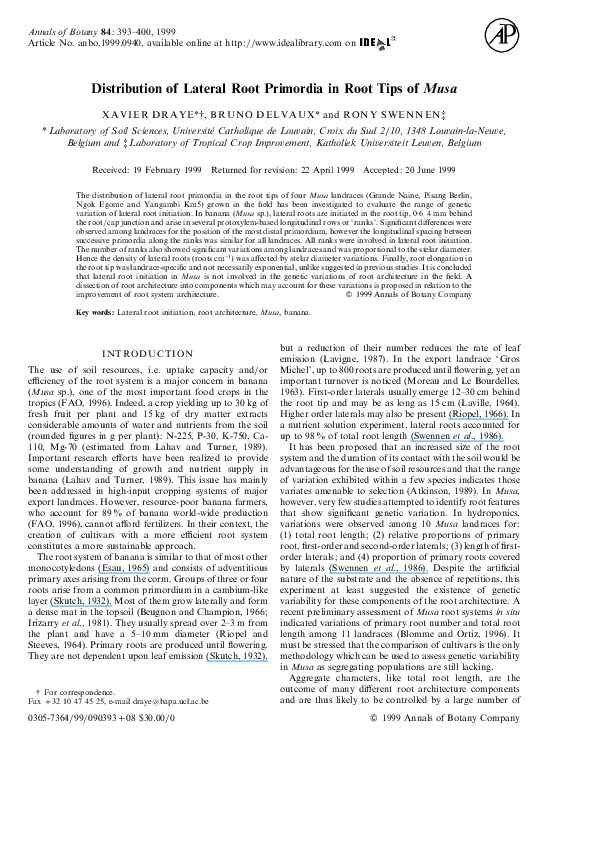 (PDF) Distribution of Lateral Root Primordia in Root Tips of Musa