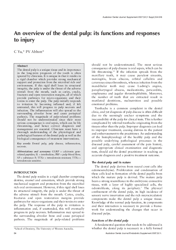 (PDF) An overview of the dental pulp: its functions and responses to injury