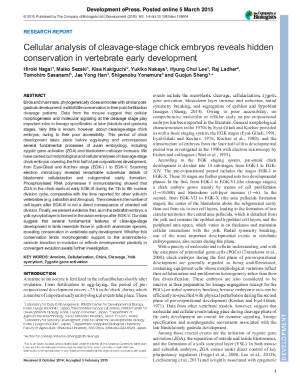 (PDF) Cellular analysis of cleavage-stage chick embryos reveals hidden ...