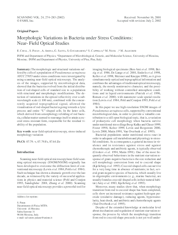 (PDF) Morphologic variations in bacteria under stress conditions: Near ...