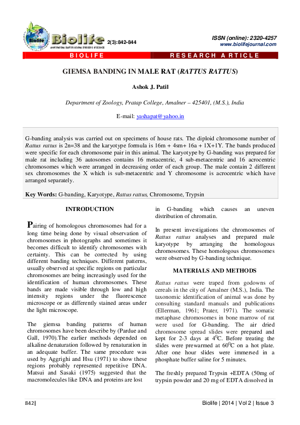 (PDF) GIEMSA BANDING IN MALE RAT (RATTUS RATTUS