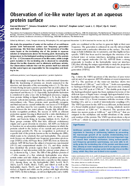 (PDF) Observation of ice-like water layers at an aqueous protein surface