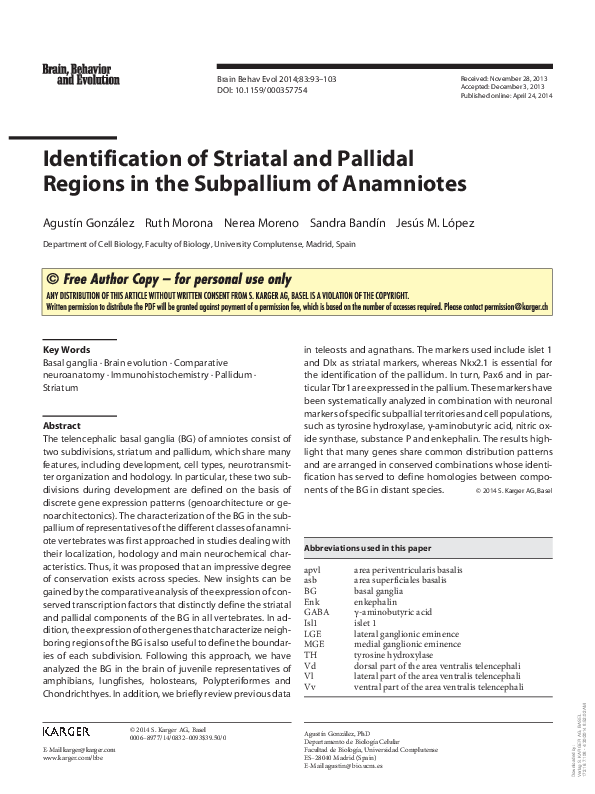 (PDF) Identification of striatal and pallidal regions in the subpallium ...