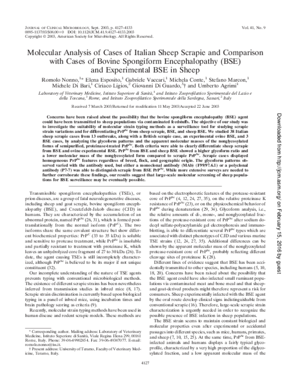 (PDF) Molecular Analysis of Cases of Italian Sheep Scrapie and ...