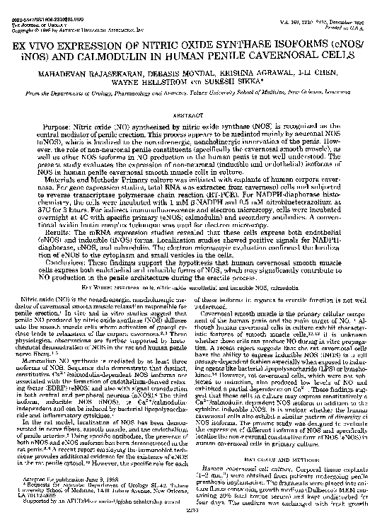 (PDF) EX VIVO EXPRESSION OF NITRIC OXIDE SYNTHASE ISOFORMS (eNOS/iNOS ...