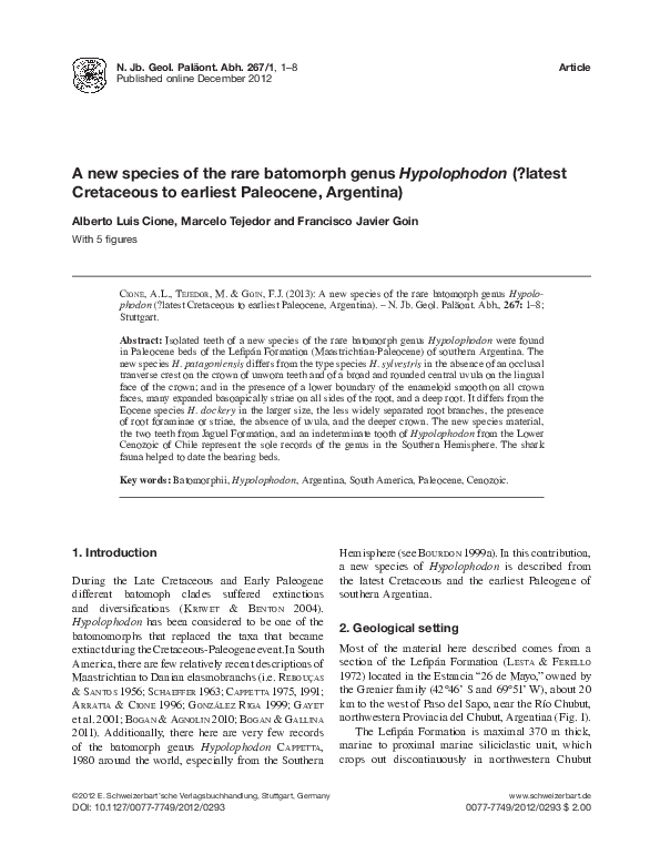 (PDF) A new species of the rare batomorph genus Hypolophodon (?latest ...