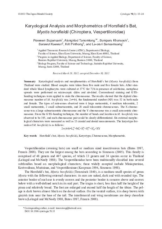 (PDF) Karyological Analysis and Morphometrics of Horsfield's Bat ...