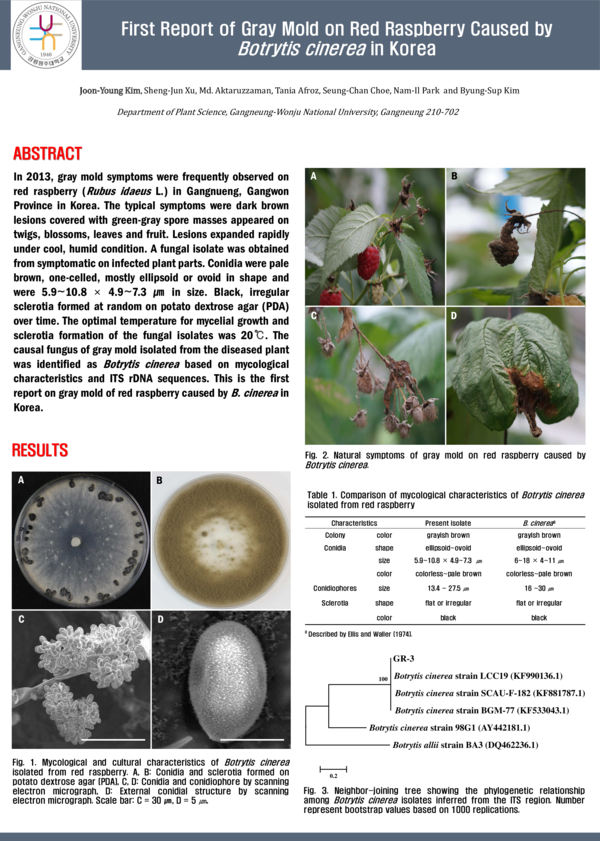 (PDF) First Report of Gray Mold on Red Raspberry Caused by Botrytis ...