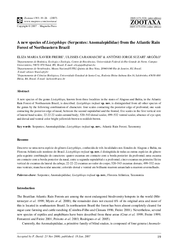 (PDF) A new species of Liotyphlops (Serpentes: Anomalepididae) from the ...