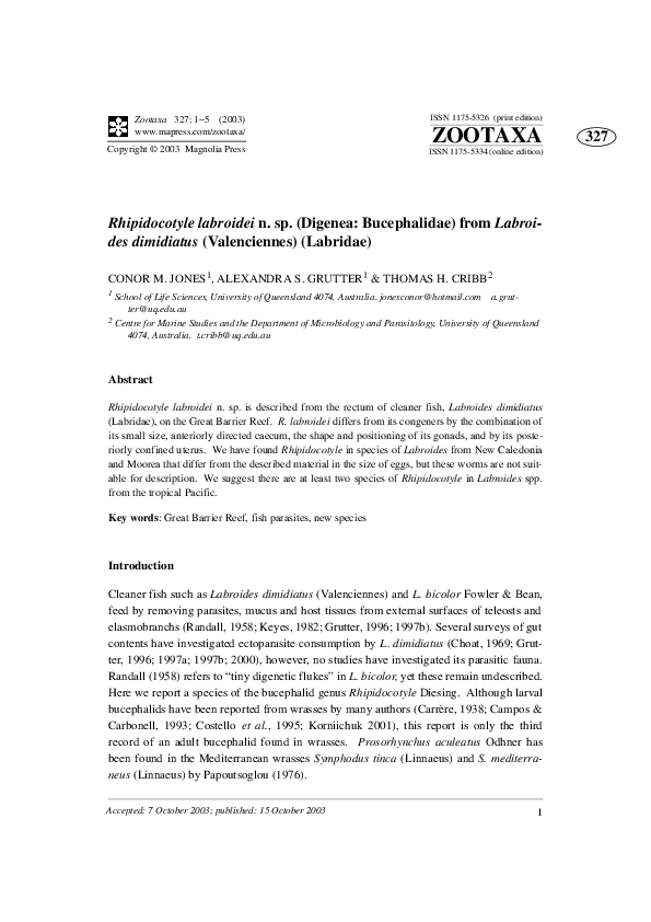 (PDF) Rhipidocotyle labroidei n. sp.(Digenea: Bucephalidae) from Labroi ...