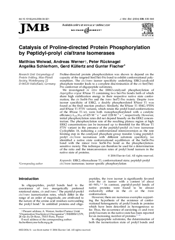 (PDF) Catalysis of Proline-directed Protein Phosphorylation by Peptidyl ...