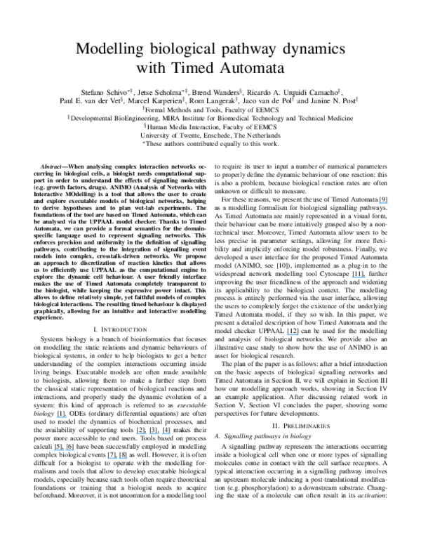 (PDF) Modeling Biological Pathway Dynamics With Timed Automata