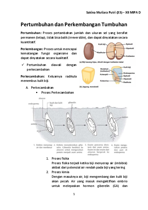 (PDF) Pertumbuhan dan Perkembangan Tumbuhan