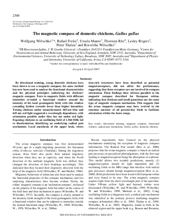 (PDF) Magnetic Compass Orientation in Chickens