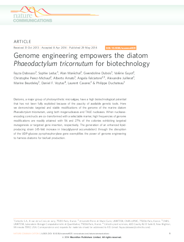 (PDF) Genome engineering empowers the diatom Phaeodactylum tricornutum for biotechnology