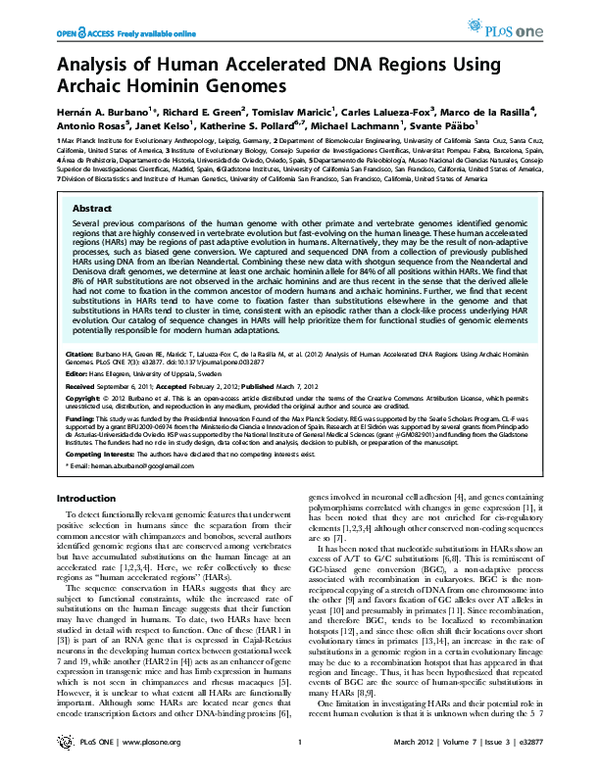 (PDF) Analysis of human accelerated DNA regions using archaic hominin ...