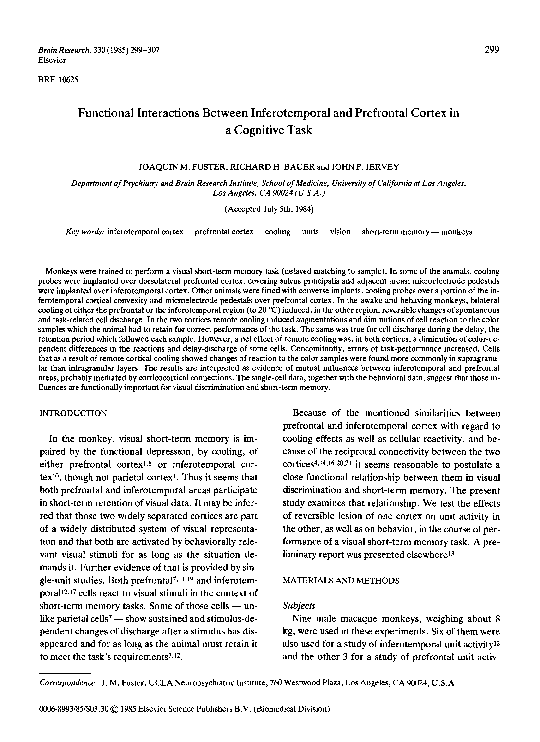 (PDF) Functional interactions between inferotemporal and prefrontal ...