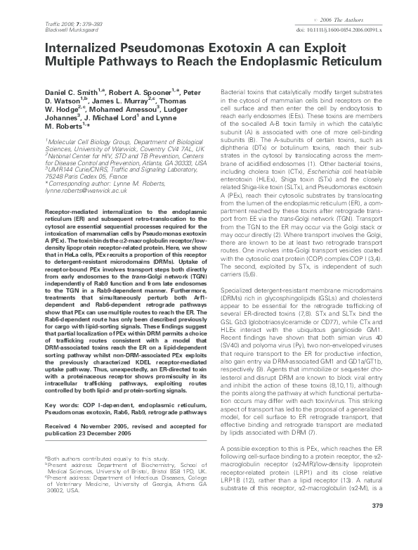 (PDF) Internalized Pseudomonas Exotoxin A can Exploit Multiple Pathways ...