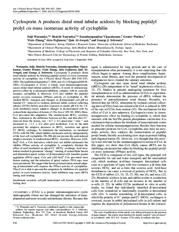 (PDF) Cyclosporin A produces distal renal tubular acidosis by blocking ...