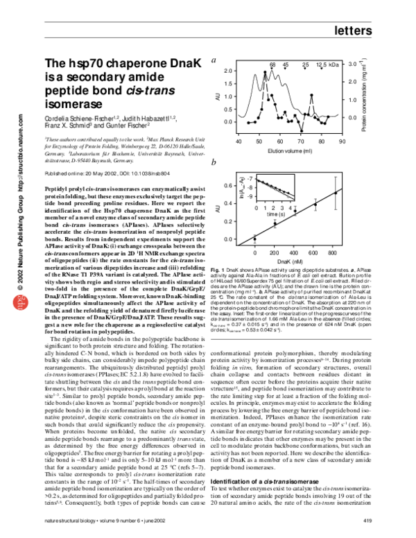 (PDF) The hsp70 chaperone DnaK is a secondary amide peptide bond cis ...