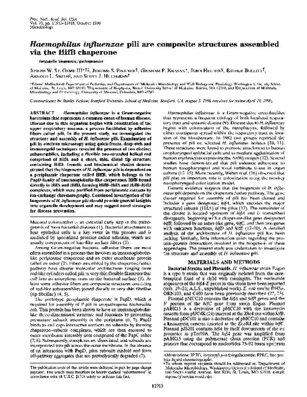 (PDF) Haemophilus influenzae pili are composite structures assembled ...