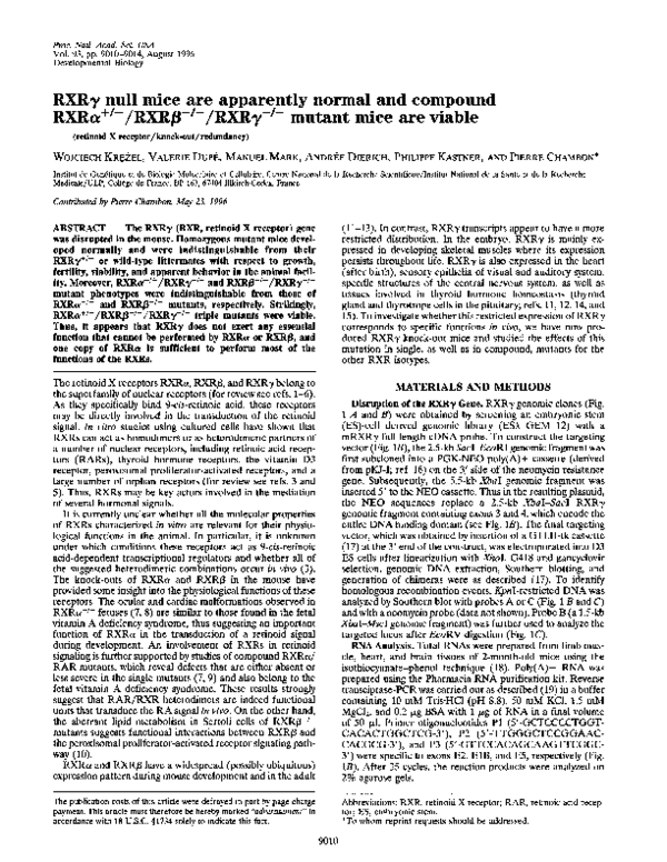 (PDF) RXR gamma null mice are apparently normal and compound RXR alpha ...