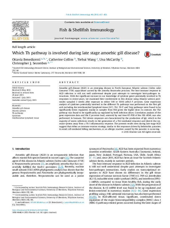 (PDF) Which Th pathway is involved during late stage amoebic gill disease?